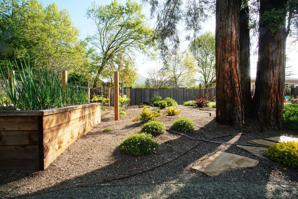 Pathways and Plantings Perfection - Transitional - Landscape - San ...