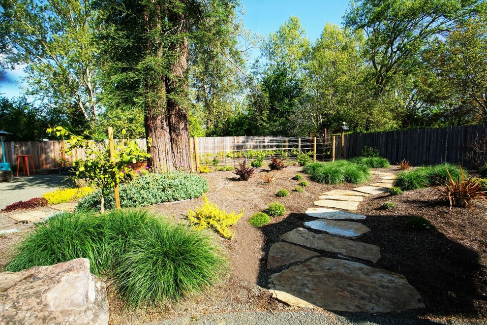 Pathways and Plantings Perfection - Transitional - Landscape - San ...