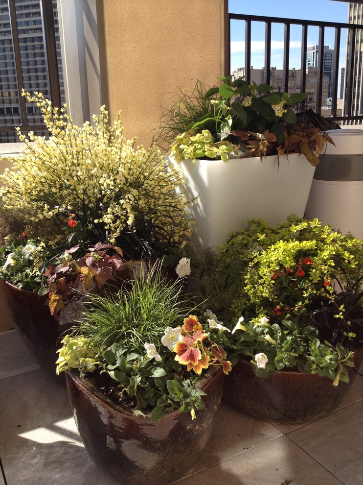 Penthouse Terrace, Rittenhouse Square - Traditional - Landscape ...