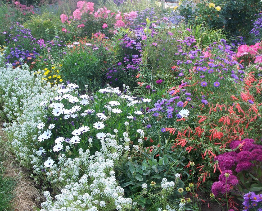 Perennial Garden Design - Farmhouse - Landscape - New York - by ...