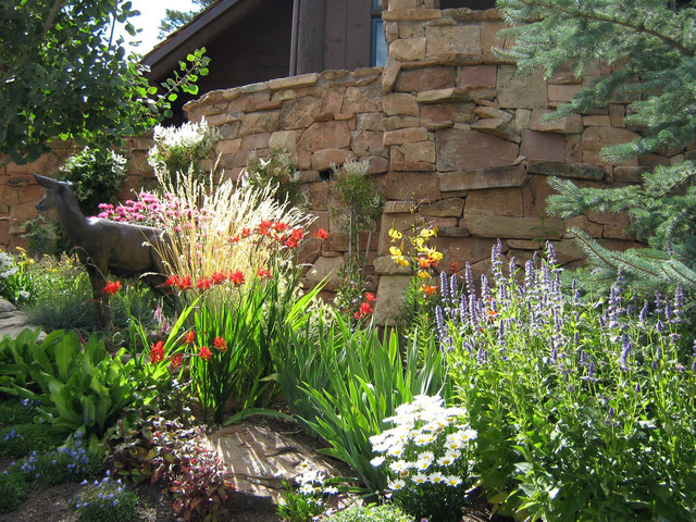 Colorado Wildflower Garden Design The Top Wildflower Garden Ideas