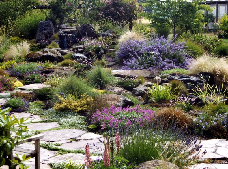 perennial rock garden with waterfalls - Modern - Garten - San Francisco ...