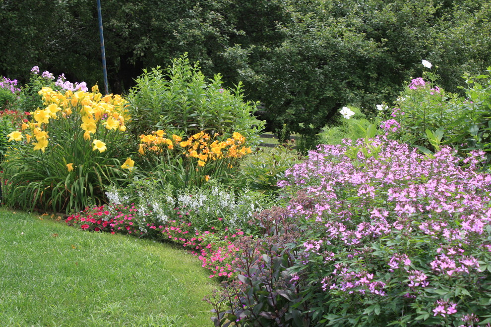 Perennials and annuals mixed garden. - Traditional - Landscape - Boston ...