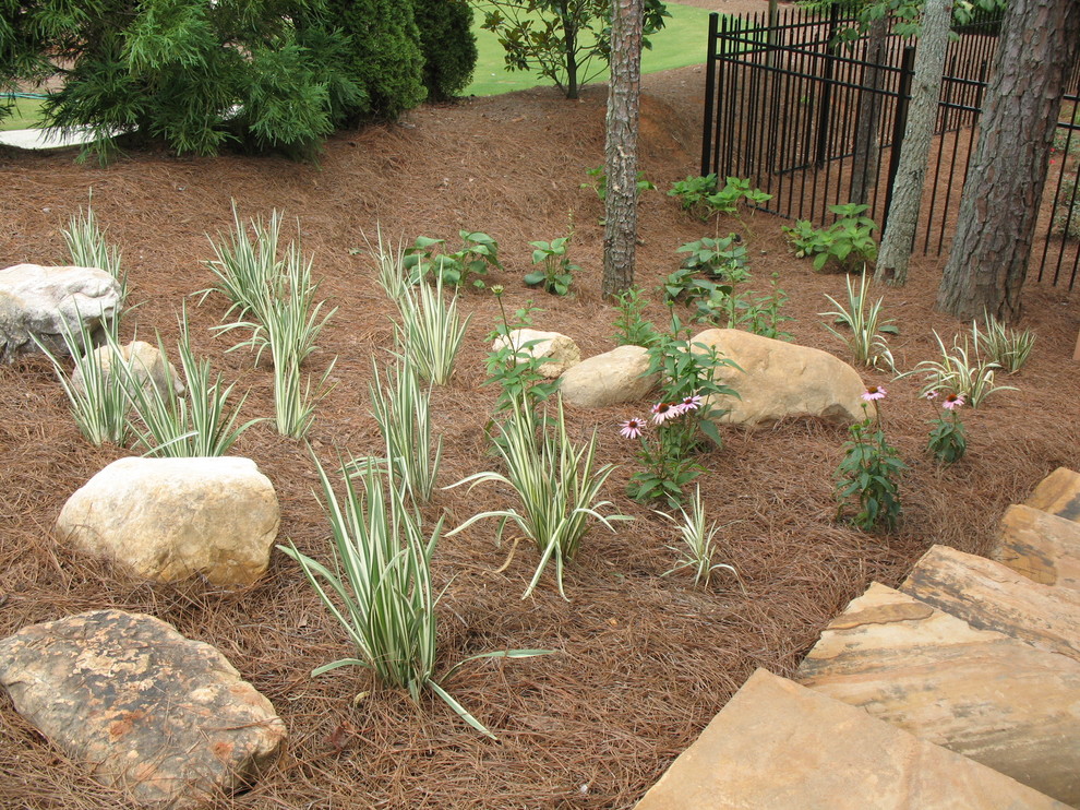 Perennials & Boulders - Traditional - Landscape - Atlanta - by User | Houzz