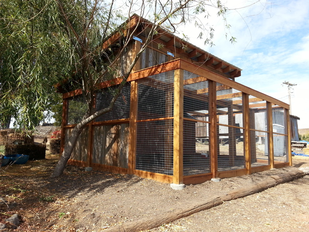 Petaluma Poultry - Farmhouse - Landscape - San Francisco - by Gardens ...