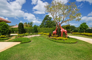 Pine Ridge Villa - Contemporary - Garden - Miami - by 41 West | Houzz AU