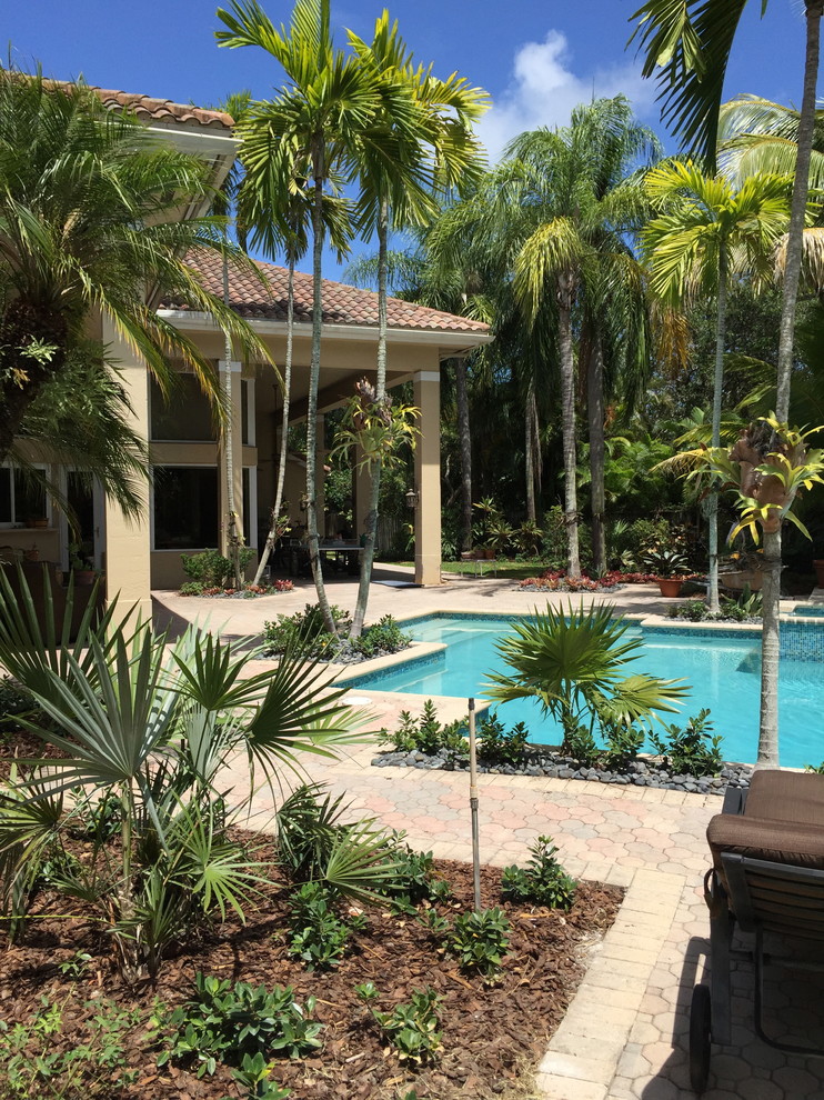 Pinecrest Pool Side Landscape - Tropical - Landscape - Miami - by Back ...