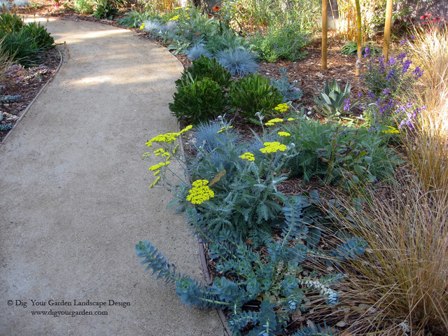 Plant Colors and Textures In Fairfax, CA With DG Pathways ...