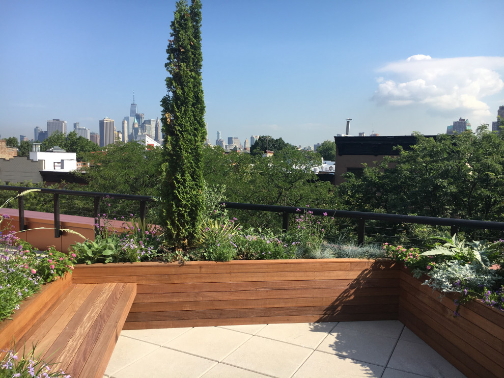Plant combinations - Modern - Landscape - New York - by Little Miracles ...