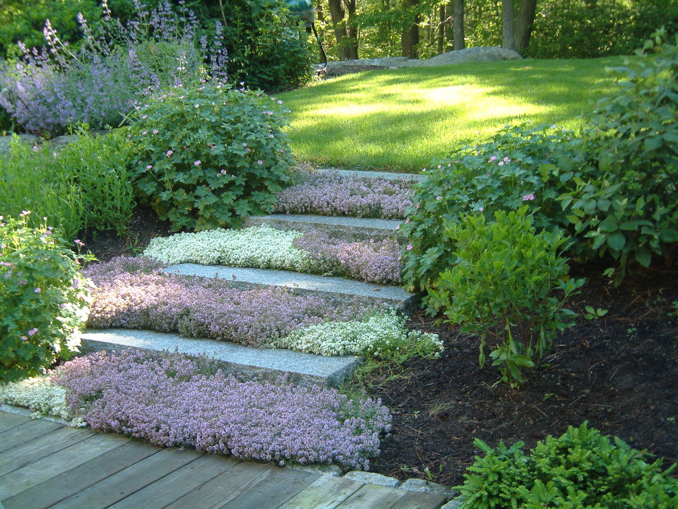 Planted steps - Traditional - Landscape - Manchester - by Kalmia Design ...