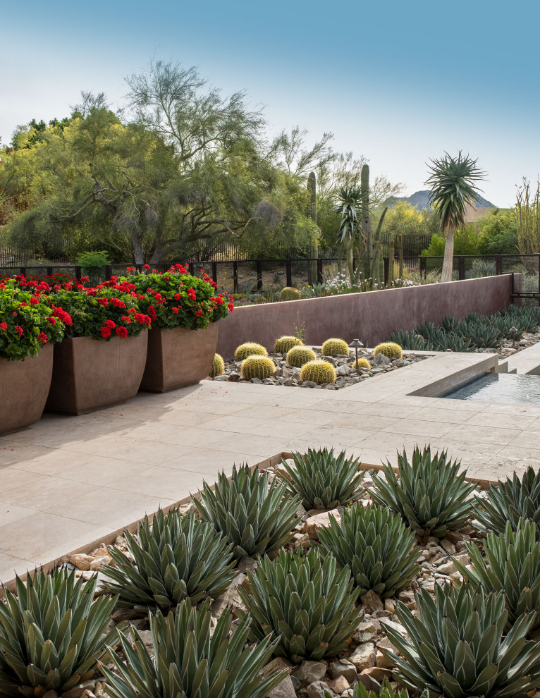 Planter Detail - Modern - Landscape - Phoenix - by Greey Pickett | Houzz