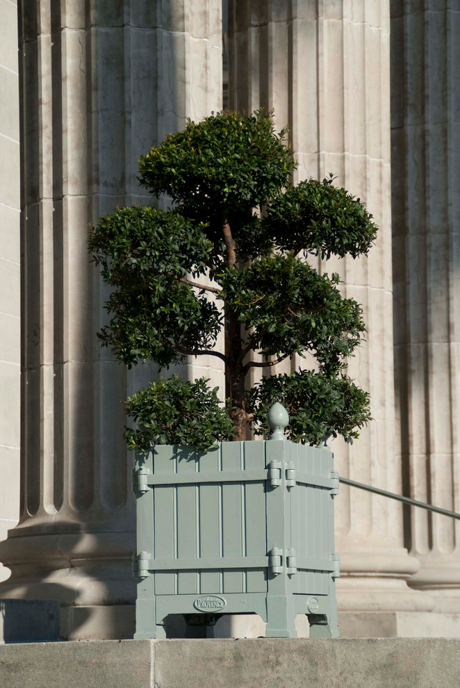 Planters - Traditional - Landscape - Miami - by Authentic Provence® Inc ...