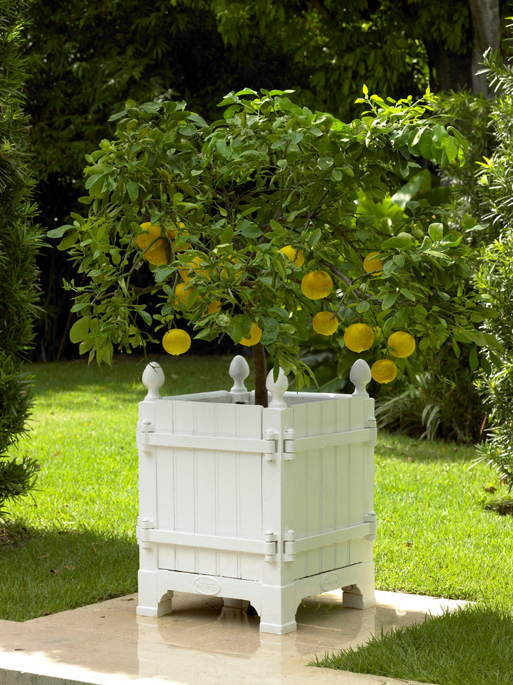 Planters - Traditional - Landscape - Miami - by Authentic Provence® Inc ...