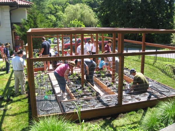 Planting Day in a Community Garden - Traditional - Landscape - New York ...