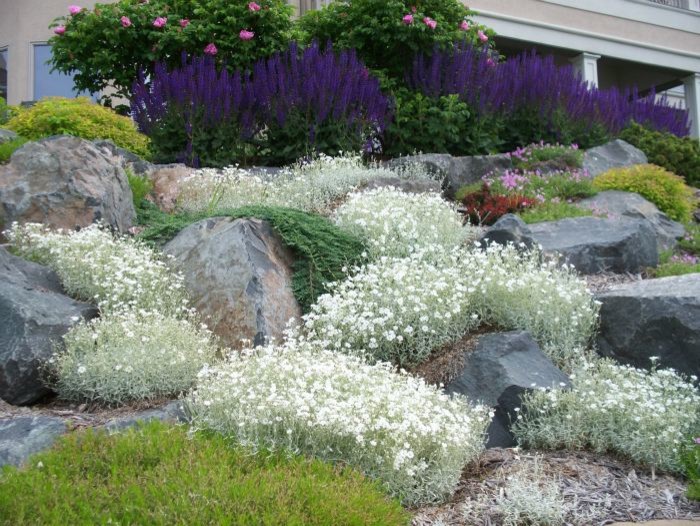 Planting Design and Plant Combinations - Contemporary - Landscape ...