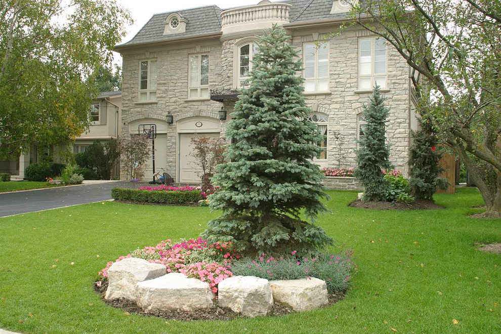 Planting - Landscape - Toronto - by iLandscape | Houzz