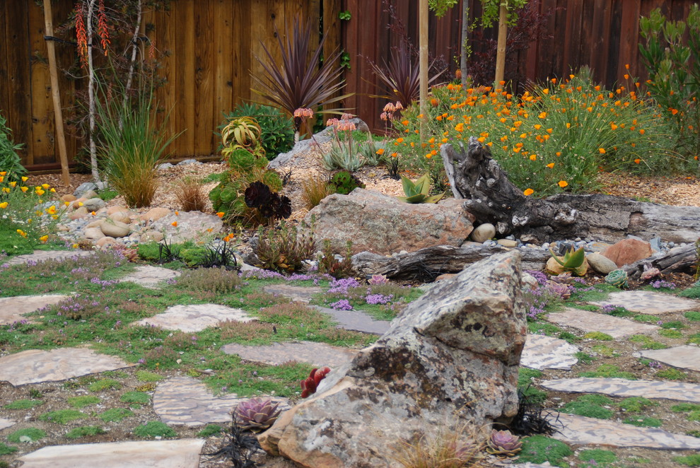 Planting - Southwestern - Landscape - San Francisco - by Monarch ...