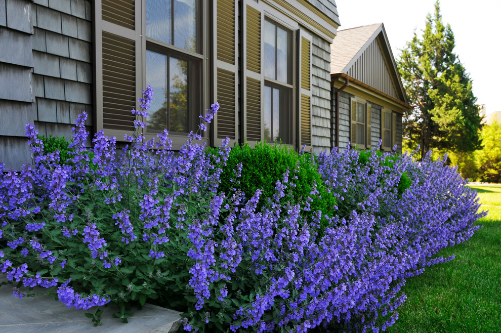 Plantings - Traditional - Landscape - New York - by Davis Landscape ...