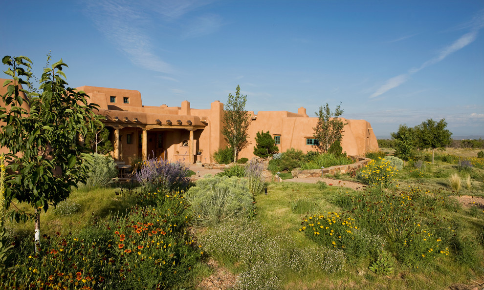 Plantings - Southwestern - Landscape - Albuquerque - by EcoScapes ...