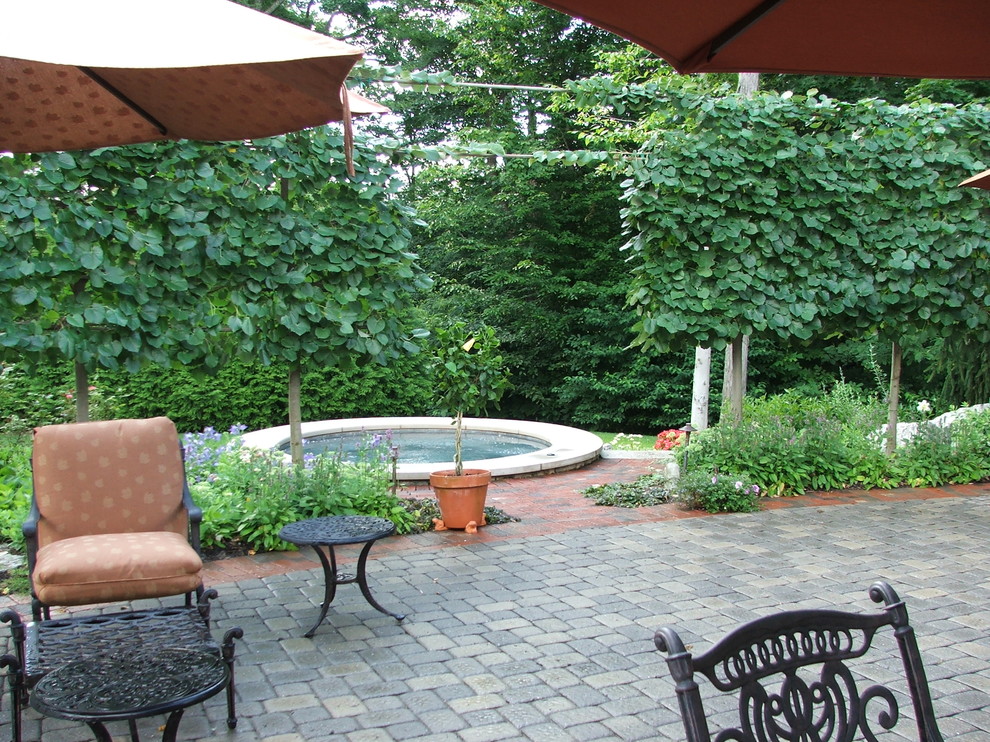 Pleached tree overhead - Traditional - Landscape - Other - by Fullmer's ...