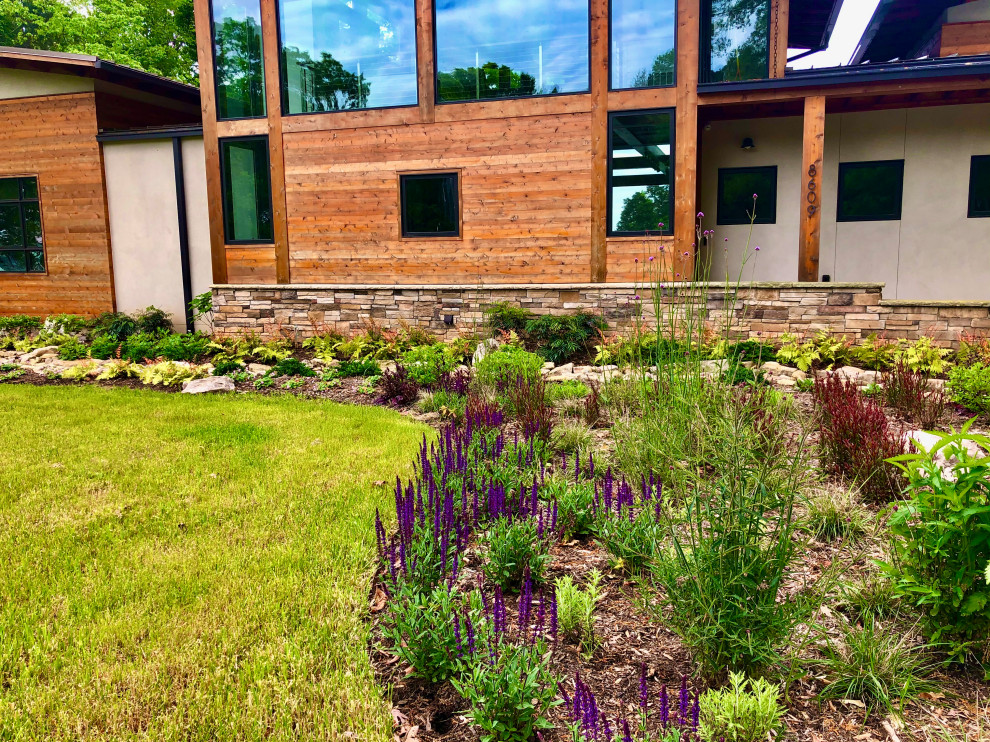 Pollinator-friendly garden - Contemporary - Landscape - Charlotte - by ...