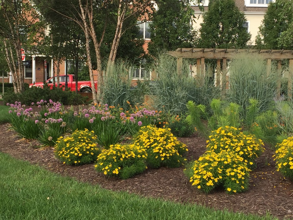 Pollinator Garden- July - Rustic - Landscape - Other - by Sylvan ...