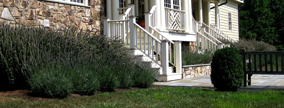 Pollinator gardens - Traditional - Landscape - DC Metro - by Magee ...