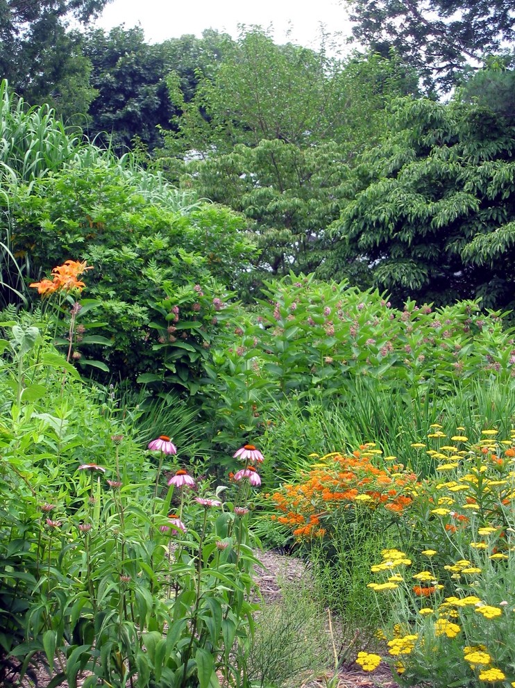 Pollinator gardens - Traditional - Landscape - DC Metro - by Magee ...