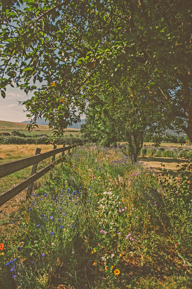 Pollinator Hedgerow - Traditional - Landscape - Other - by Regenesis ...