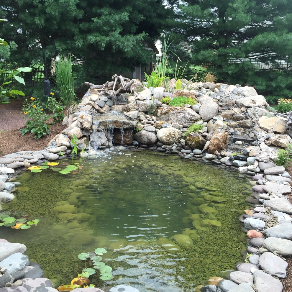 Pond Build - Piscataway, NJ - Traditional - Landscape - New York - by ...