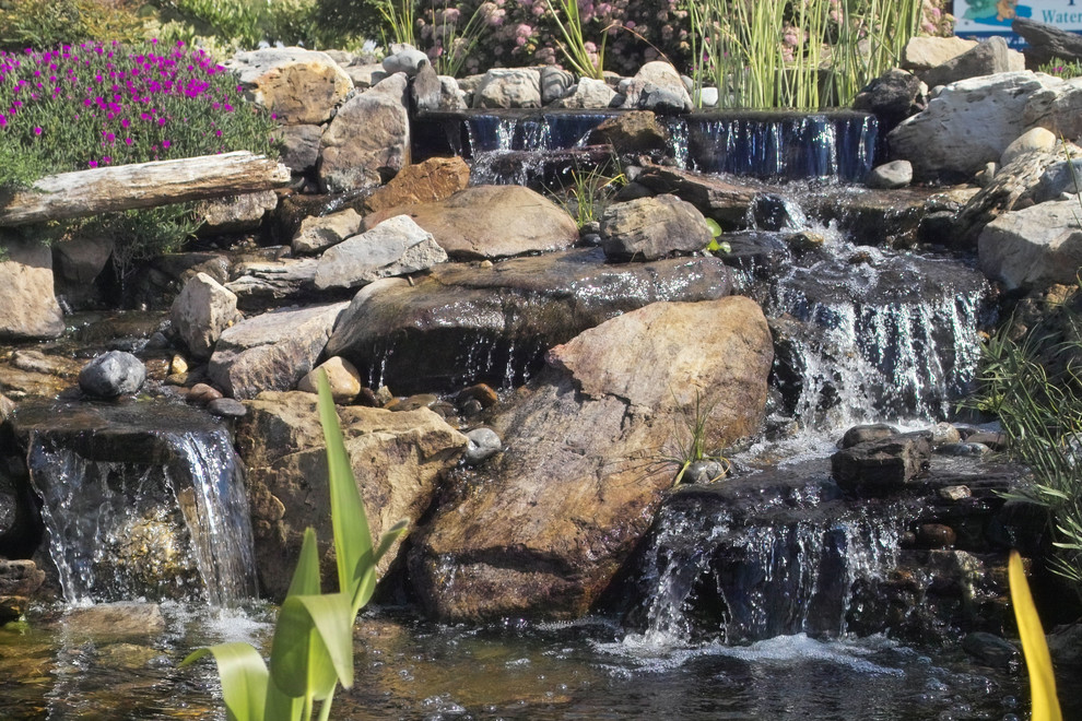 Pond builds - Tropical - Landscape - Burlington - by American ...