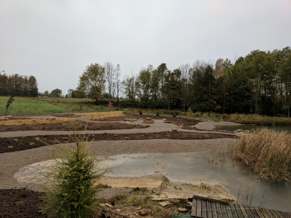 Pond Landscape Transformation - Transitional - Landscape - Toronto - by ...