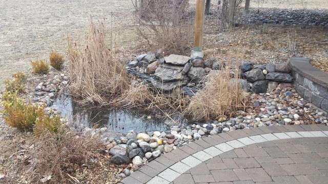 Pond renovation Before - Jardín - Toronto - de Deep Roots Landscaping ...