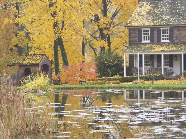 Pond Side Home for a Relocated Tree - Traditional - Garden ...