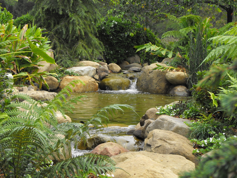 pond waterfall design ideas - Traditional - Landscape - Santa Barbara ...