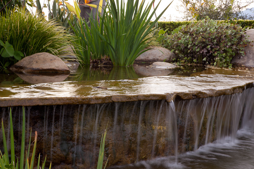Pond/Waterfall - Contemporary - Landscape - Santa Barbara - by Down To ...