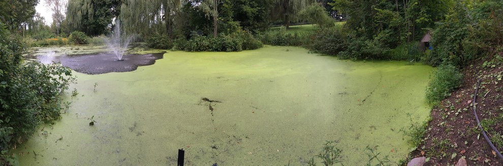 Pond Weed Removal - Landscape - Toronto - by Hydrosphere The Pond ...