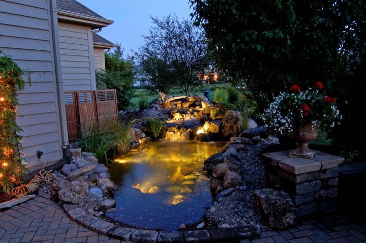 Ponds - Traditional - Landscape - Chicago - by Along The Waters' Edge ...