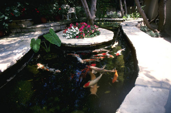 Ponds & Water Features - Traditional - Garden - Los Angeles - by Living ...