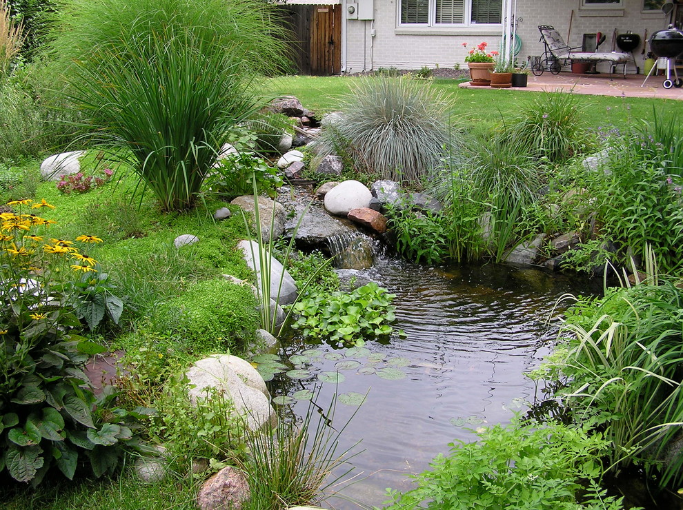 Ponds and waterfalls - Traditional - Landscape - Denver - by Rocky ...