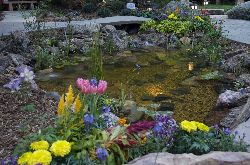 Ponds and waterfalls - Traditional - Landscape - Denver - by Rocky ...