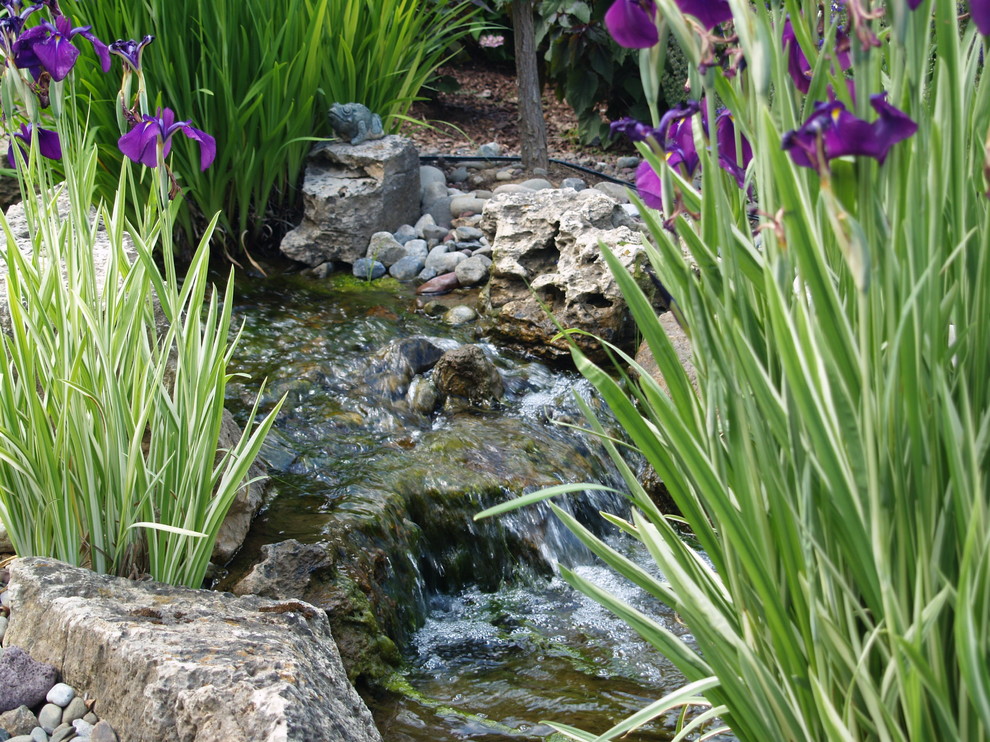 Ponds - Traditional - Landscape - DC Metro - by Meadows Farms | Houzz