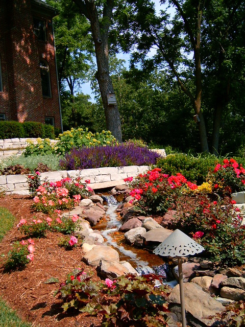 Pool and pond backyard - Traditional - Landscape - Chicago - by JJ ...