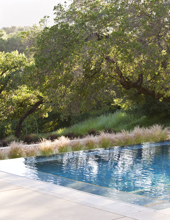 Pool - Contemporary - Landscape - San Francisco - by Arterra Landscape ...