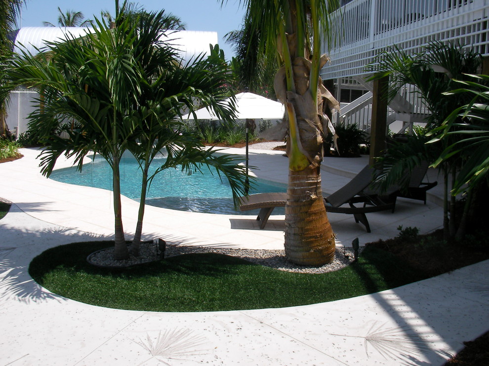 Pool Decks - Tropical - Landscape - Tampa - by EasyTurf Florida | Houzz