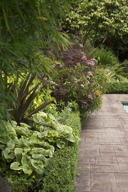 Pool Garden - Perennial Borders and Accents Planters - Éclectique ...