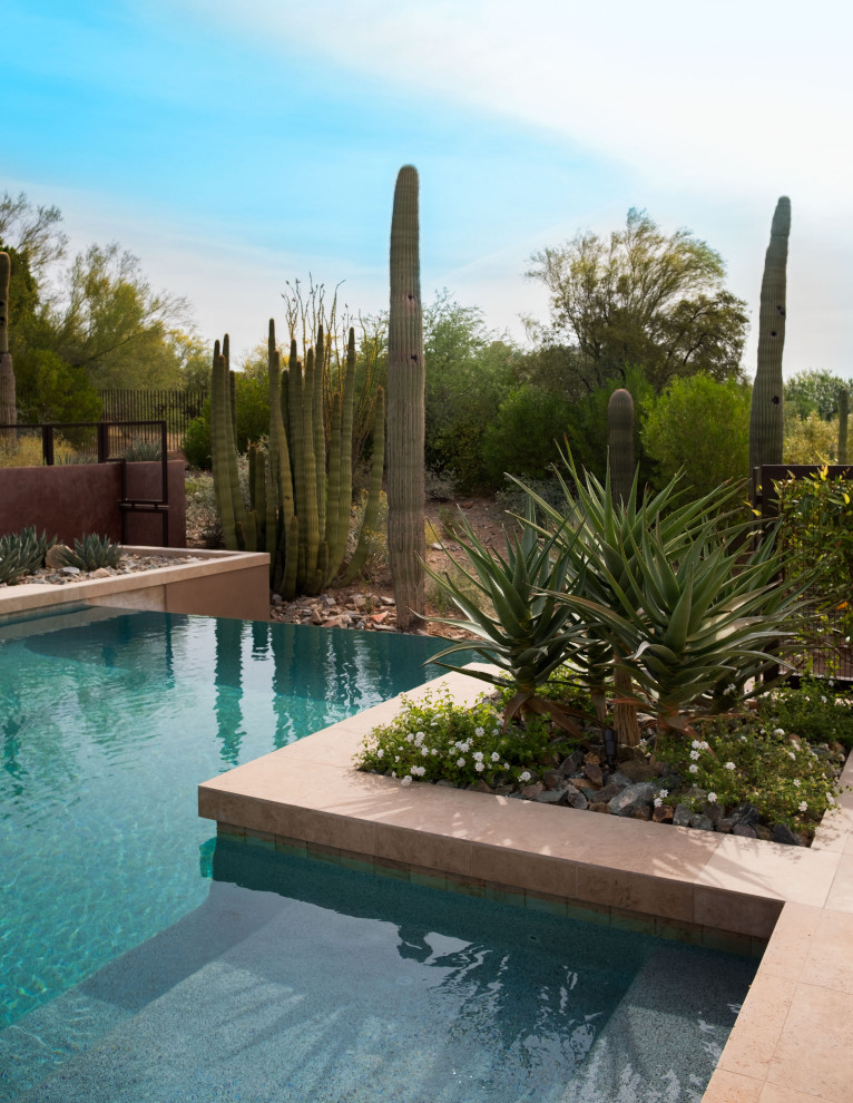 Pool Planter - Modern - Landscape - Phoenix - by Greey Pickett | Houzz