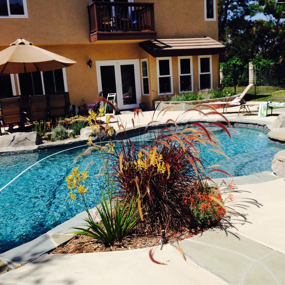 Pool side gardens - Transitional - Landscape - Orange County - by H2 ...