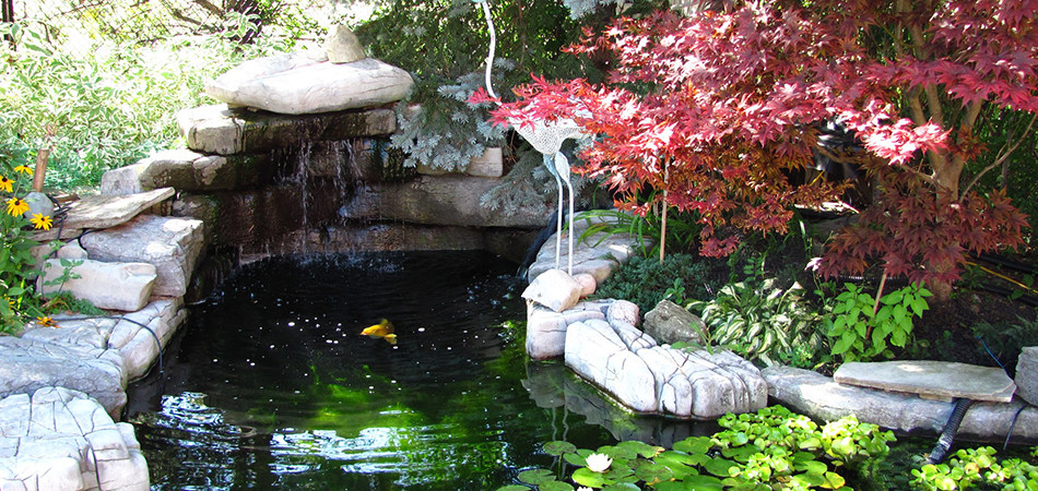 Pools & Water Features - Asian - Landscape - Toronto - by User | Houzz