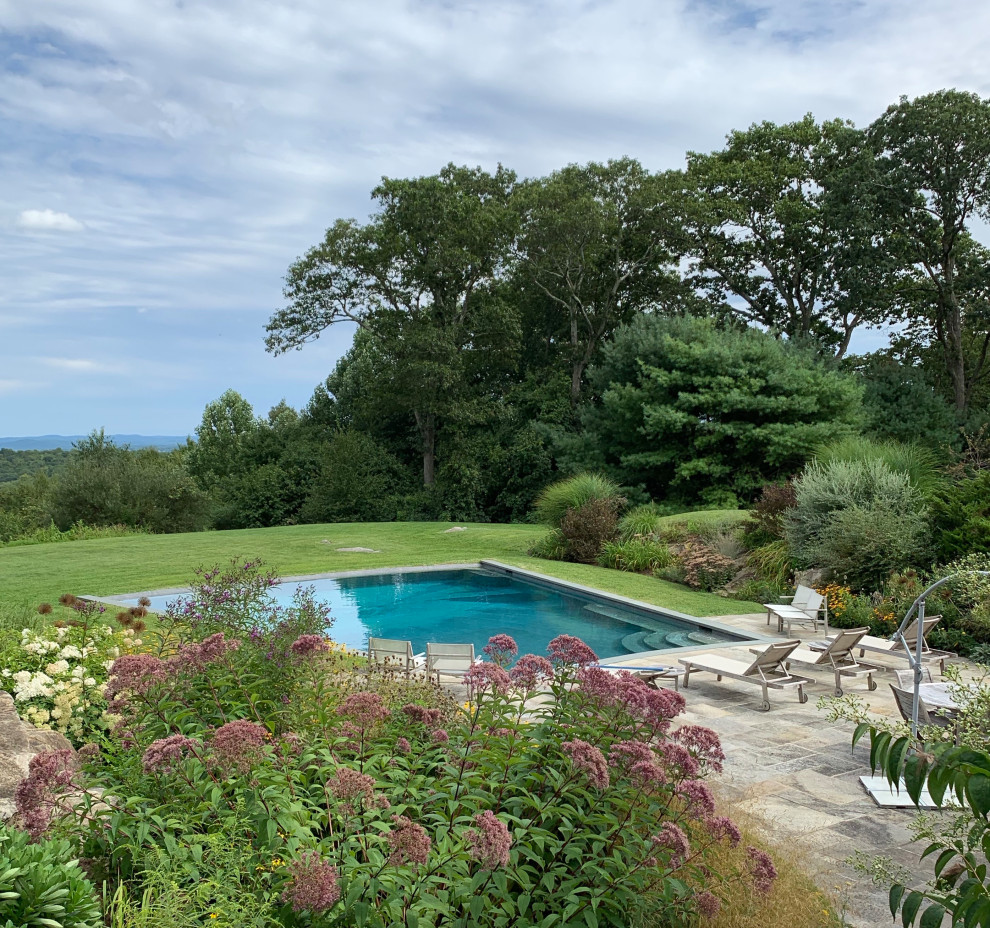 Poolside Gardens - Contemporary - Landscape - New York - by Hortulus ...